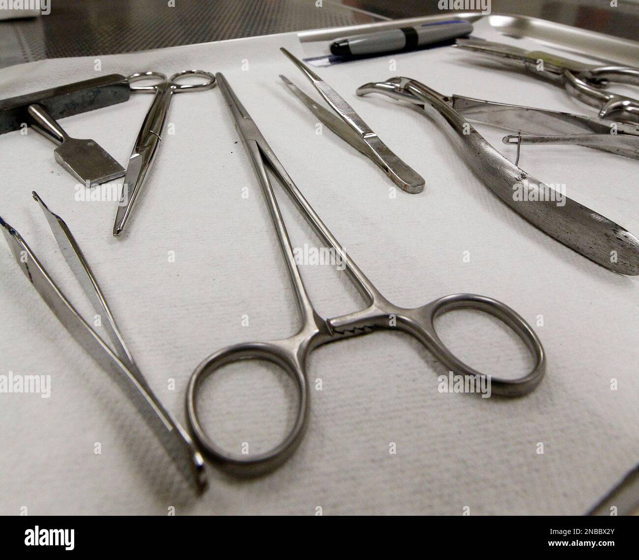 Tools in a necropsy room in a Biosafety Level 4 laboratory at the U.S ...