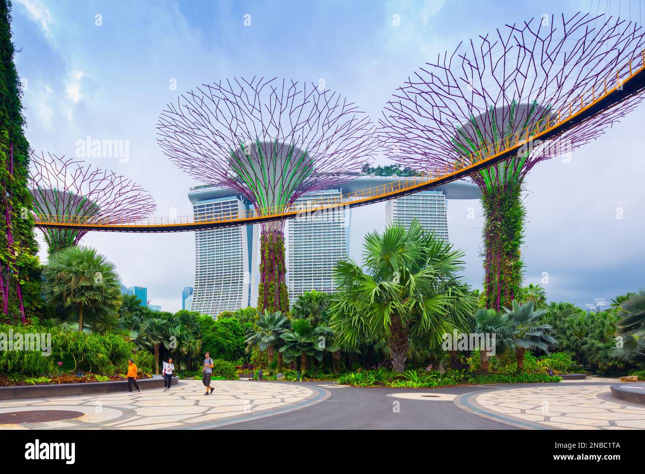 The Supertree Grove Trees in the 'Gardens By The Bay' nature reserve in ...