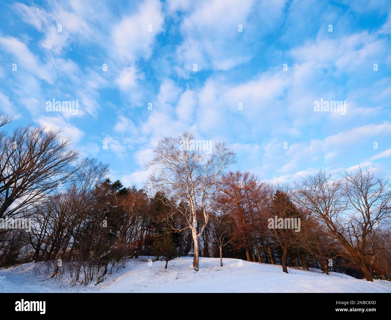 Tokachi in Winter, Hokkaido, Japan Stock Photo - Alamy