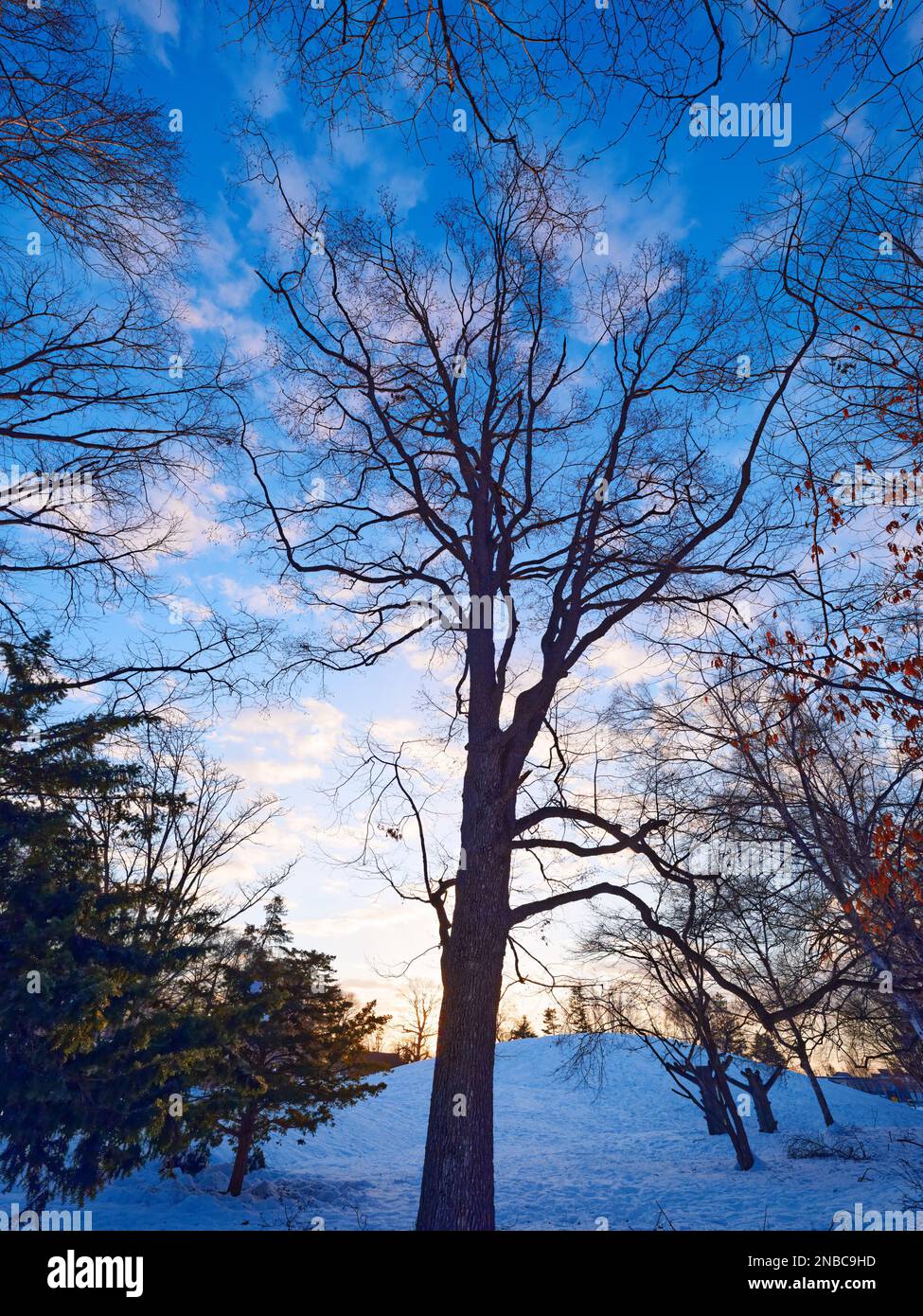Tokachi in Winter, Hokkaido, Japan Stock Photo - Alamy