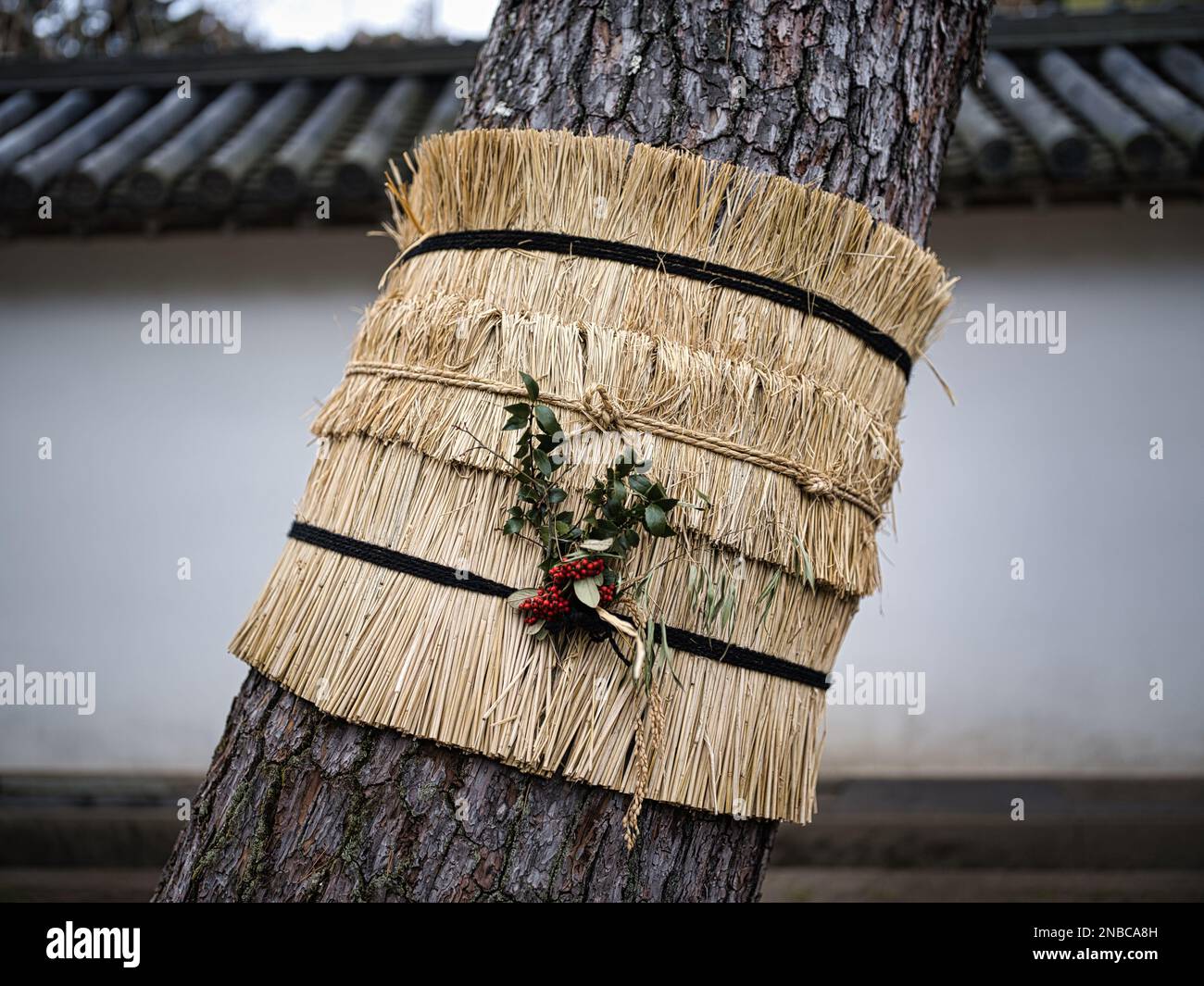 Straw Belt for Pest Control Stock Photo - Alamy