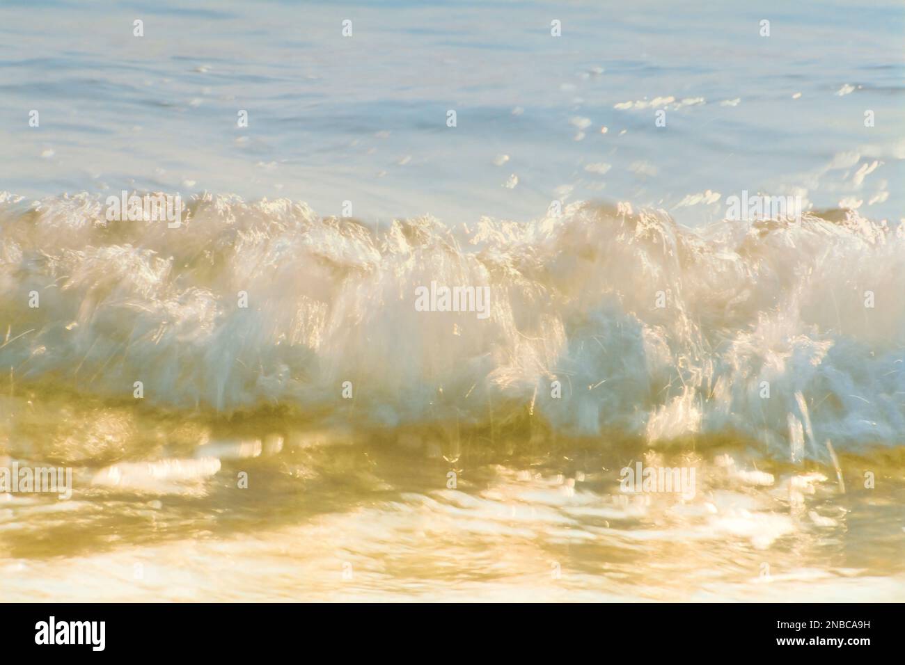 Gentle incoming breaking whitewater wave Stock Photo - Alamy