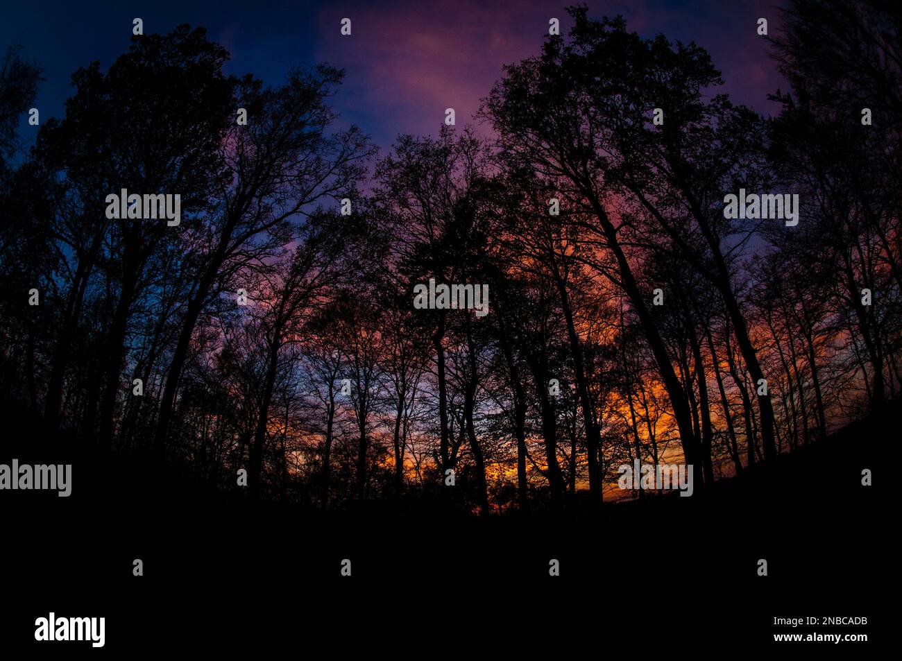 sun setting behind trees in Selsingen Germany Stock Photo - Alamy