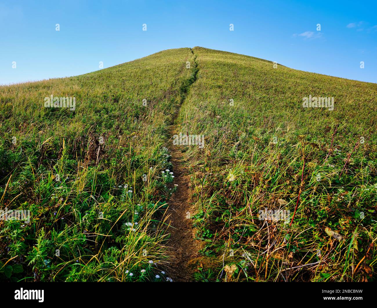 Landscape in Rebun Island, Hokkaido, Japan Stock Photo - Alamy