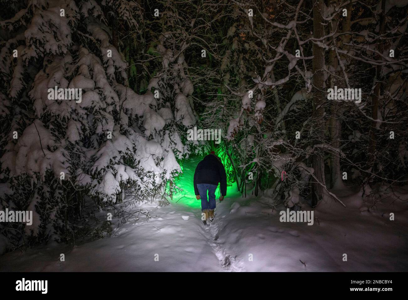 Niko Thompson, who runs programs for veterans through the Fairbanks ...