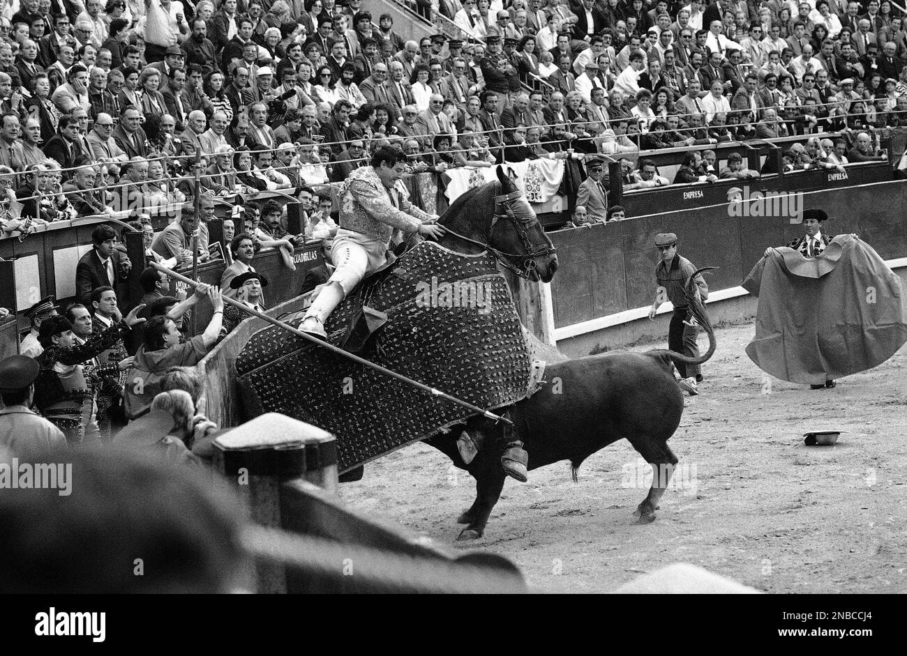 A picador hangs on as a bull lifts his horse into the air during a ...