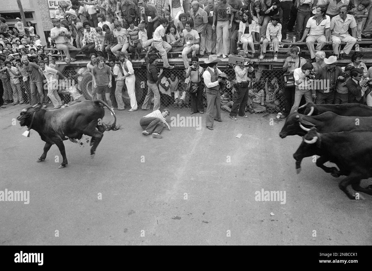One of the runners from the “running of the bulls” in Tecate, Mexico ...