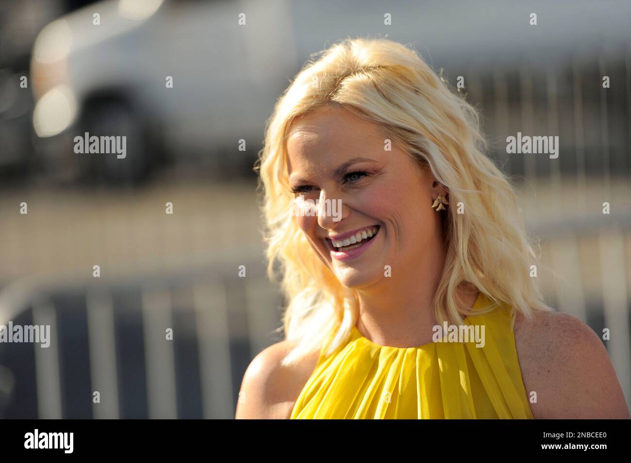 Amy Poehler arrives at the Do Something Awards on Sunday, Aug. 14, 2011 ...