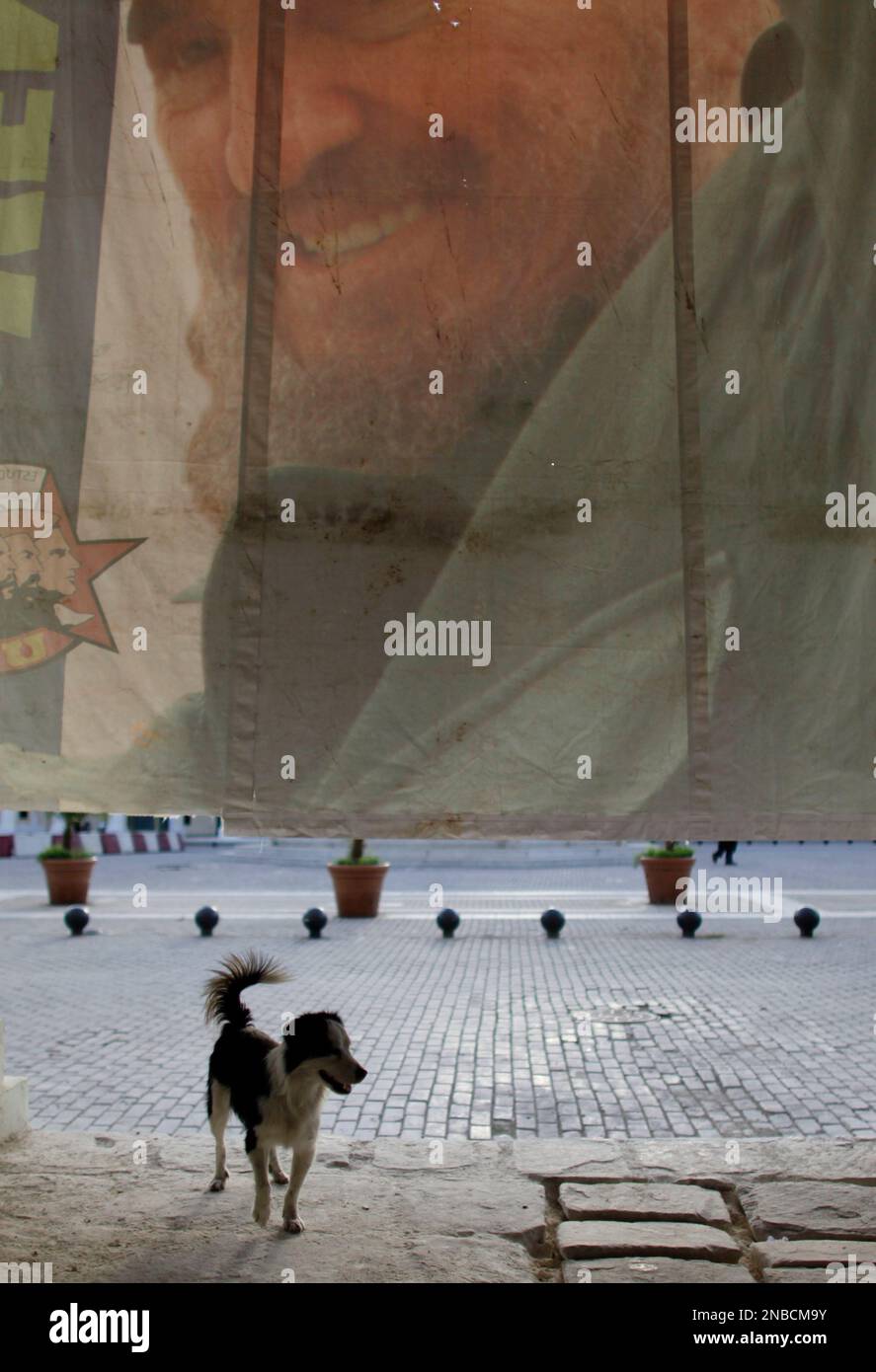 A dog walks behind a banner depicting Cuba's leader Fidel Castro as ...