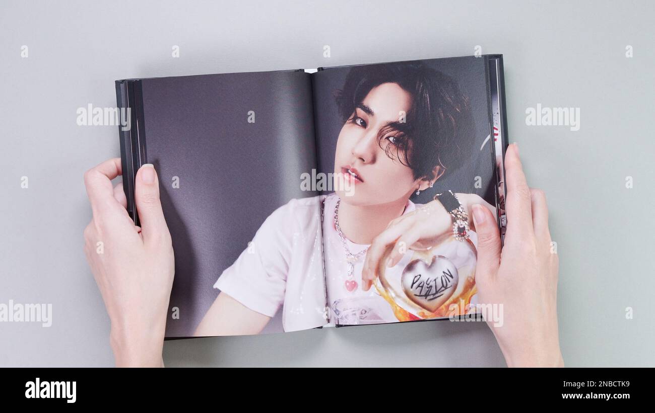 Fan holding Stray Kids MAXIDENT mini Album photobook on grey. Music CD ...