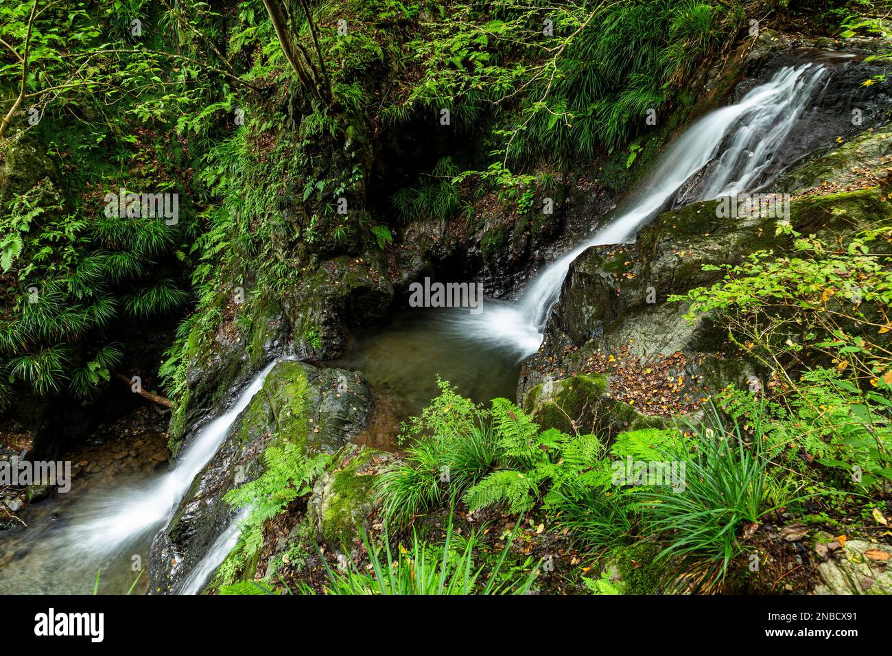 Mountain stream, small falls, Okutama & Okumusashi mountains, Hannou ...