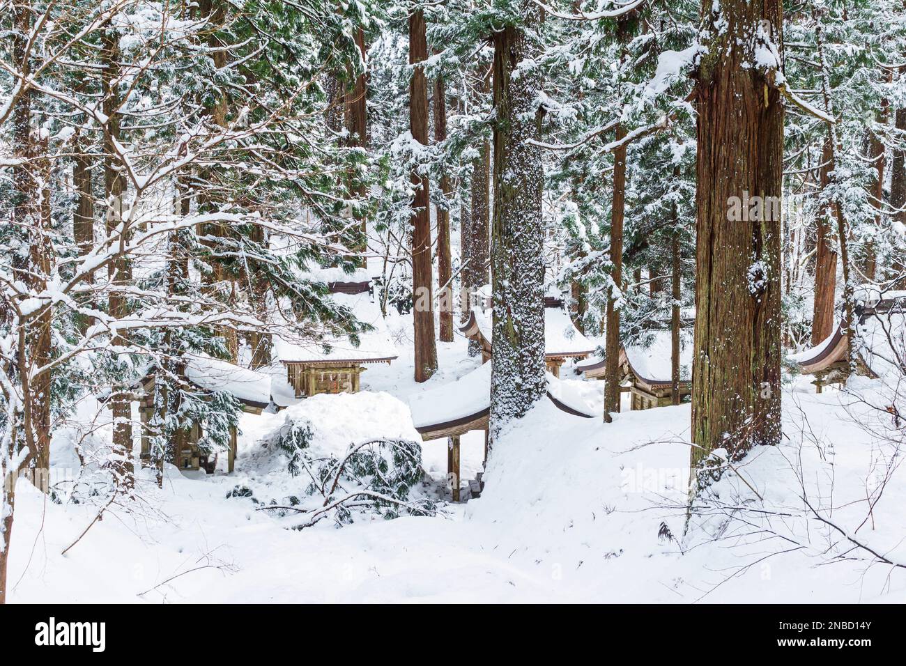 Dewa Sanzan - Hagurosan(Mt.Haguro) shrines & temples, Haguroyama ...