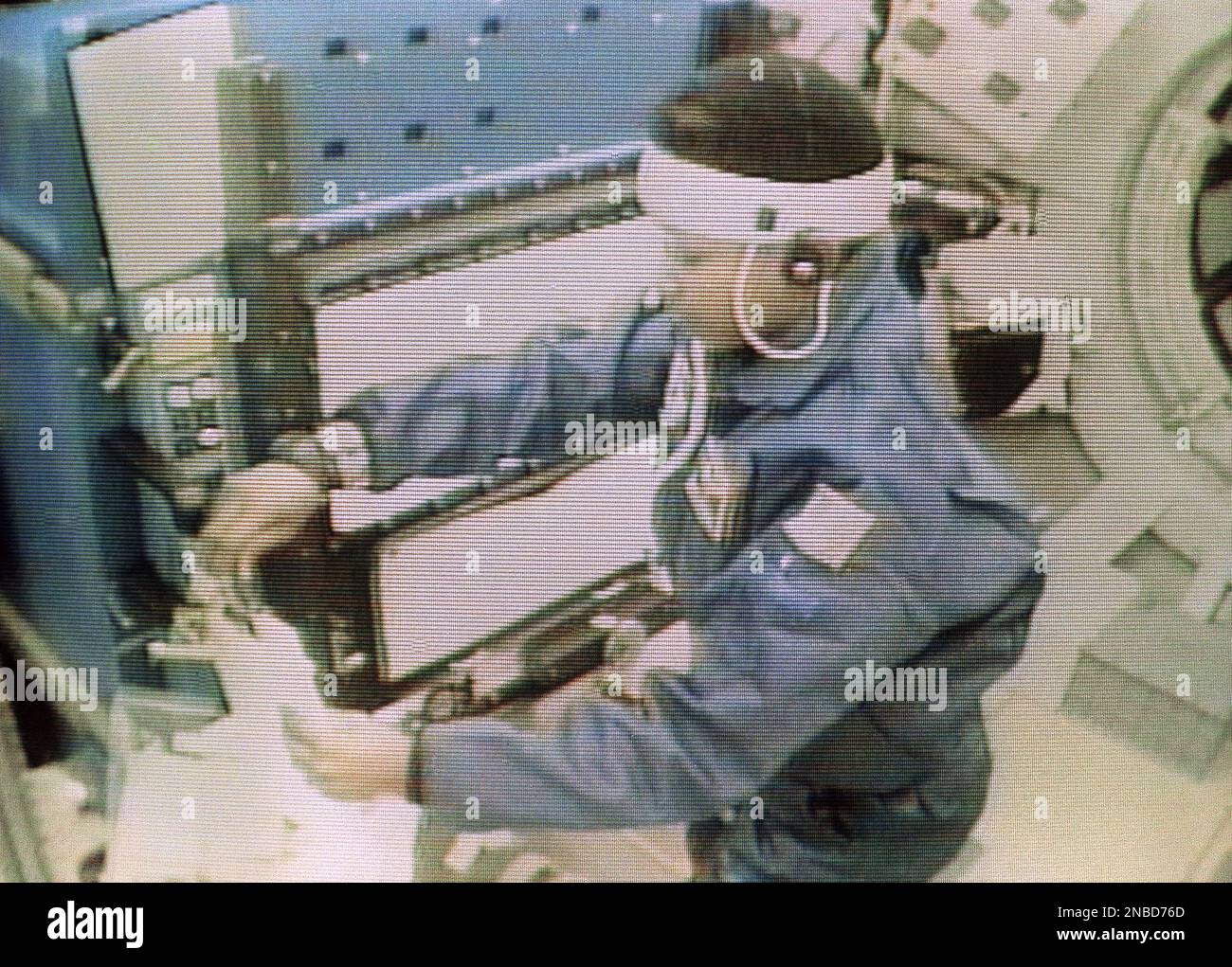 Astronaut Mae Jemison works on an experiment with frogs in the Spacelab ...