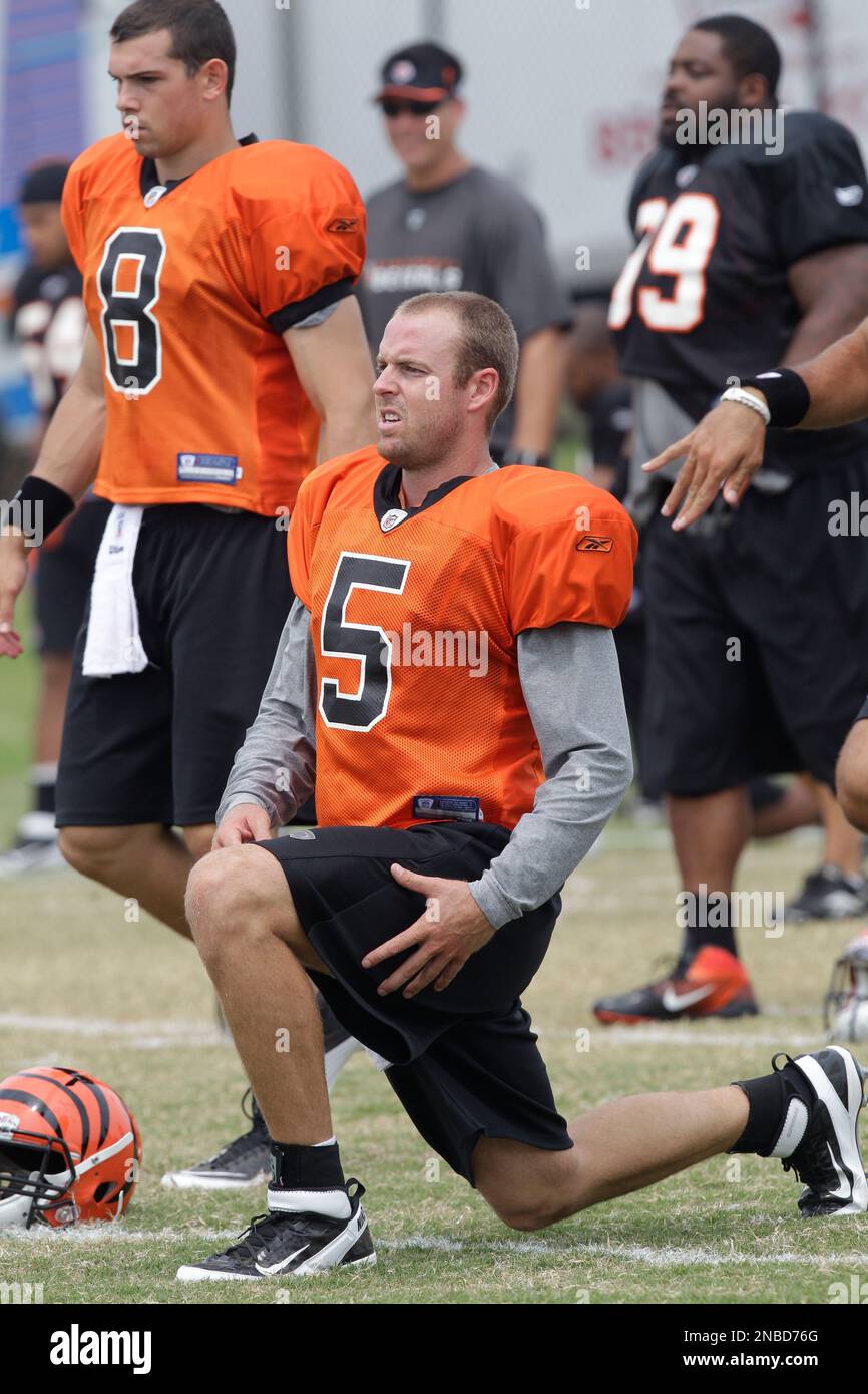 Cincinnati Bengals quarterback Jordan Palmer (5) in action during ...