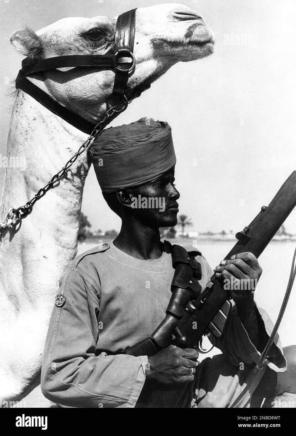 An armed member of the Egyptian desert police force stands next to a ...