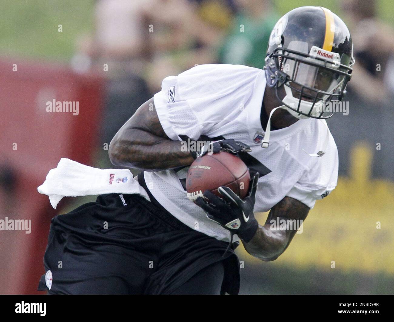 Mike Wallace Steelers