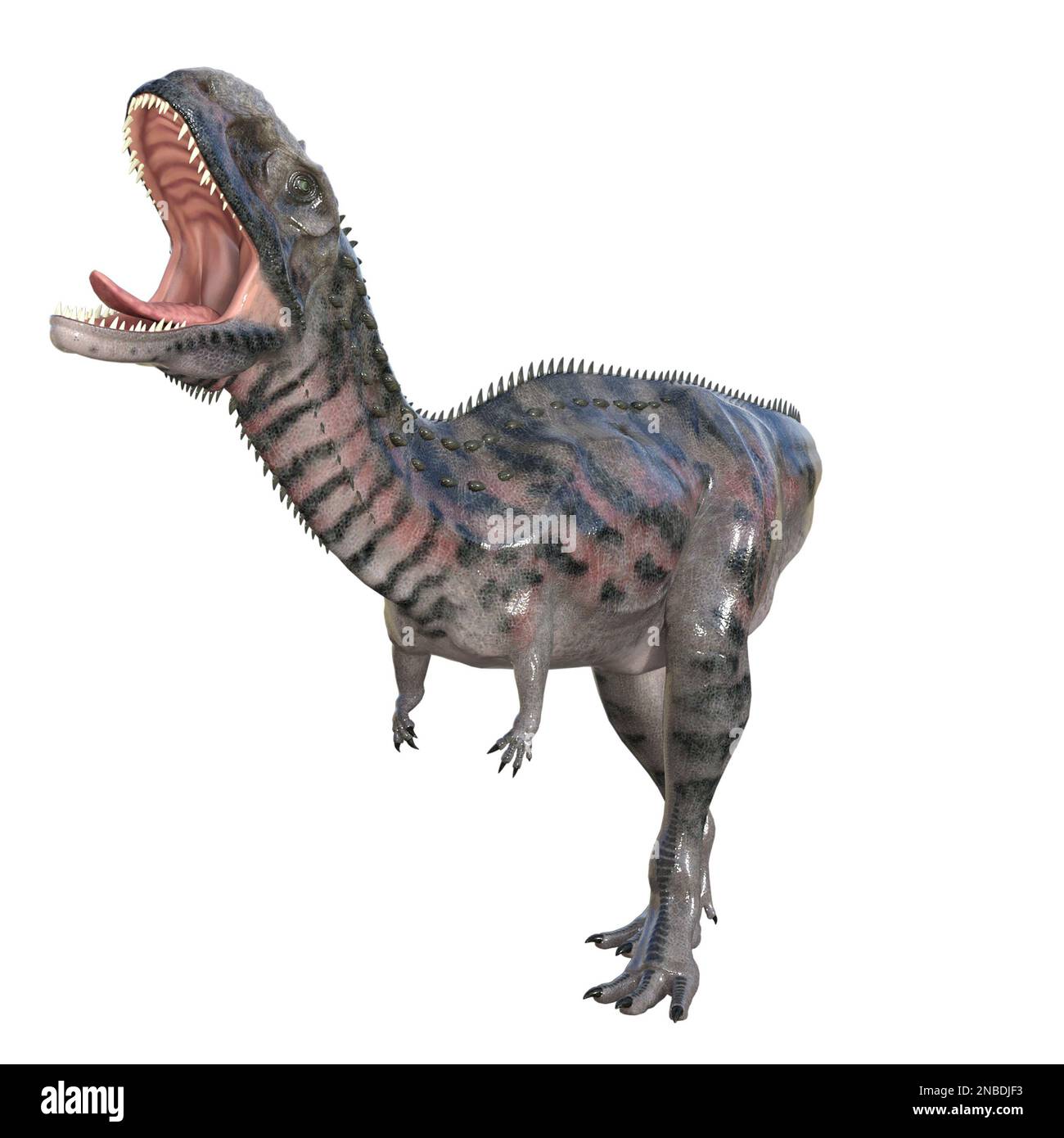 Rey Dinosaurio Majungasaurus