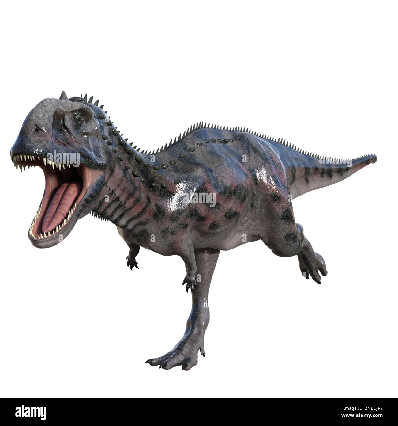 3d illustration Majungasaurus dinosaur Stock Photo - Alamy