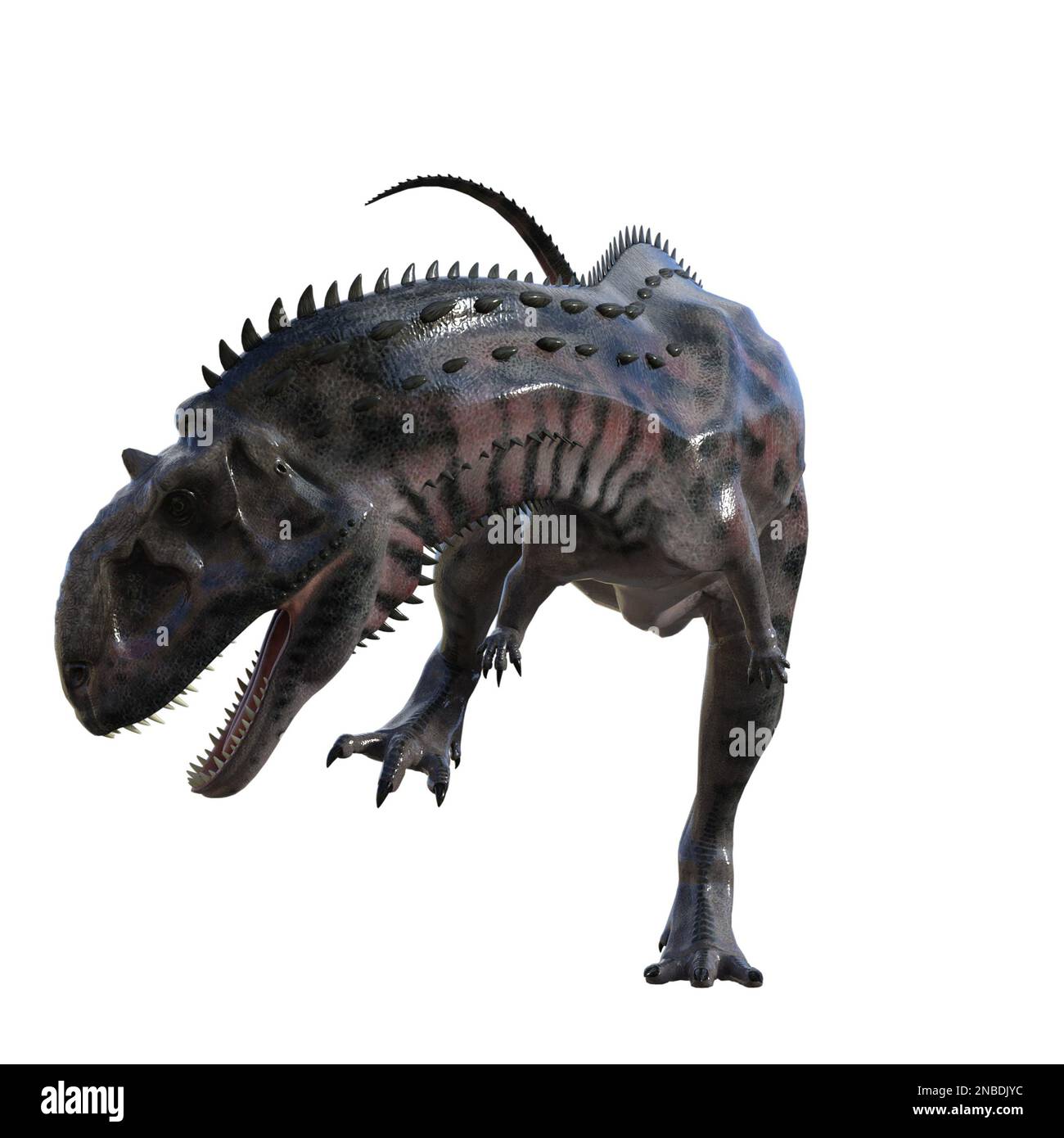 3d illustration Majungasaurus dinosaur Stock Photo - Alamy
