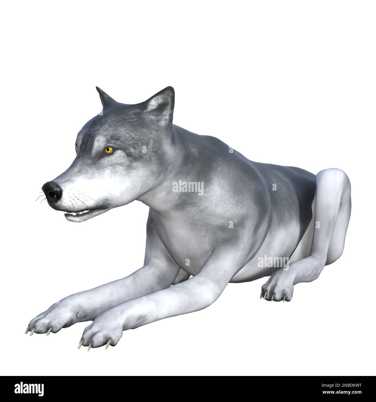 3D illustration wolf wildlife Stock Photo - Alamy
