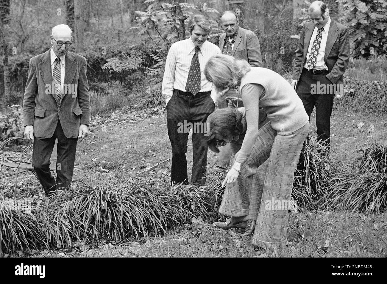 Members and friends of the Reg Murphy family talk and walk outside the ...