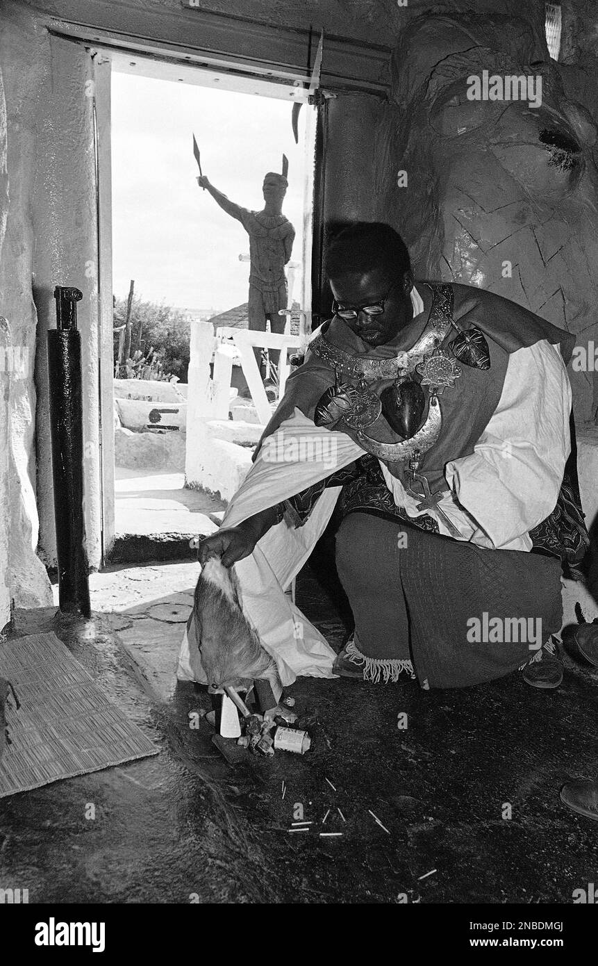 South African Zulu witchdoctor, Credo Mutwa, empties his bag of animal ...