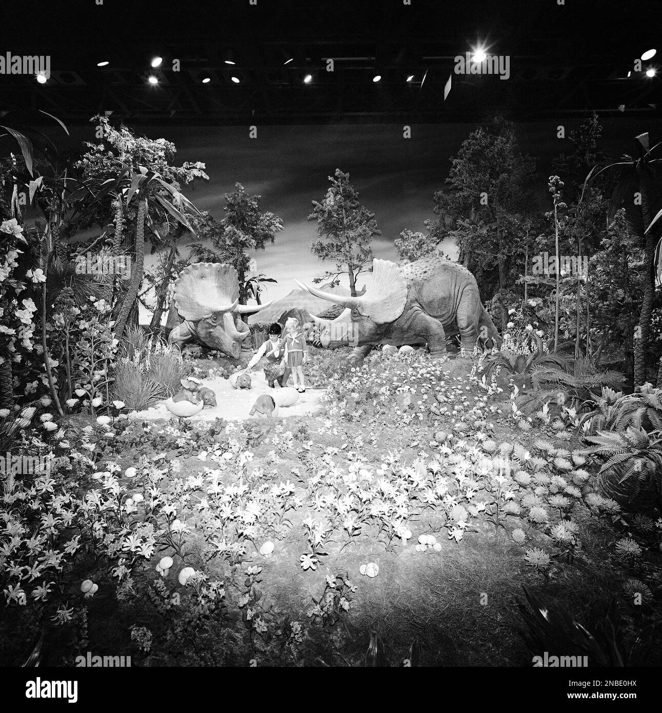 The gigantic creatures which inhabited the earth millions of years ago ...