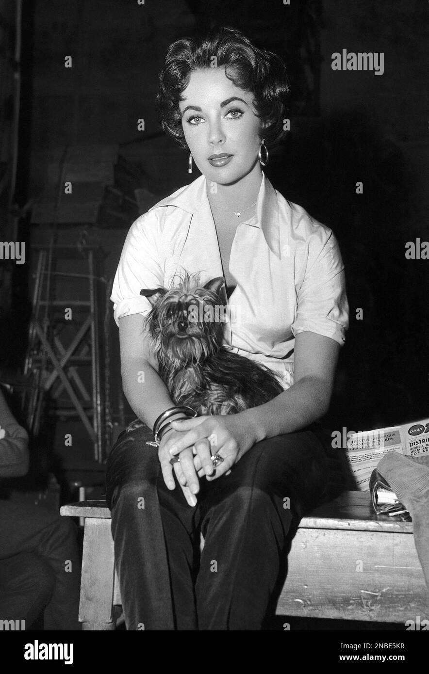 American screen star Elizabeth Taylor poses with her dog, Teresa ...