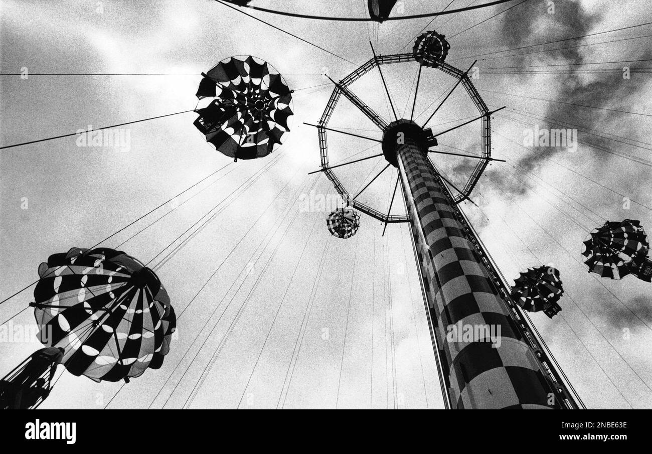 Looking like big dandelions, parachute from Knott’s Berry farm ...