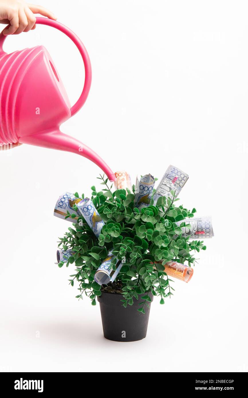 Watering can in hand waters a money tree with large denominations of ...