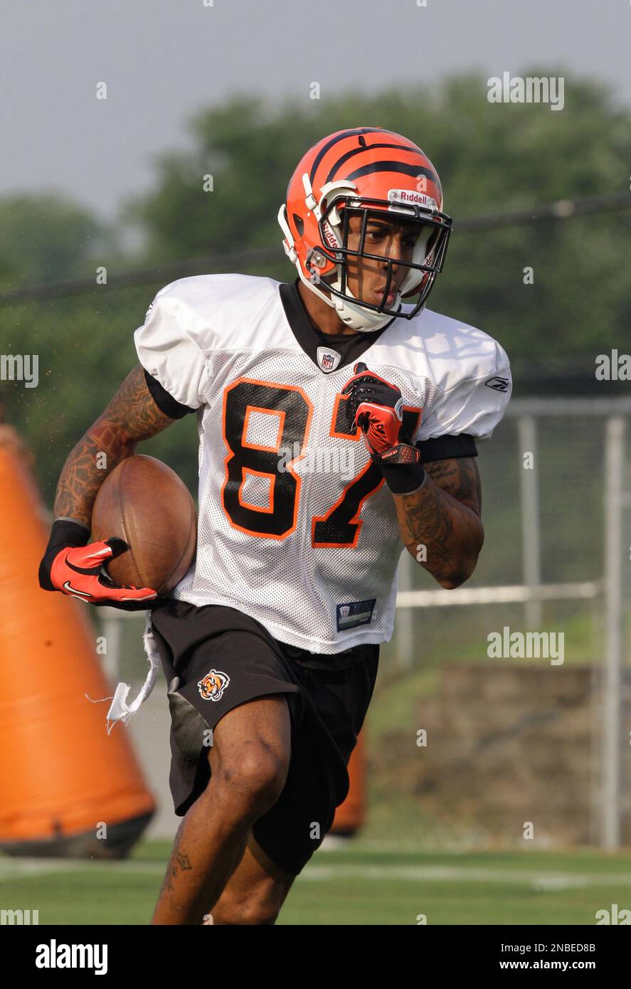 Cincinnati Bengals wide receiver Andre Caldwell (87) in action at the ...