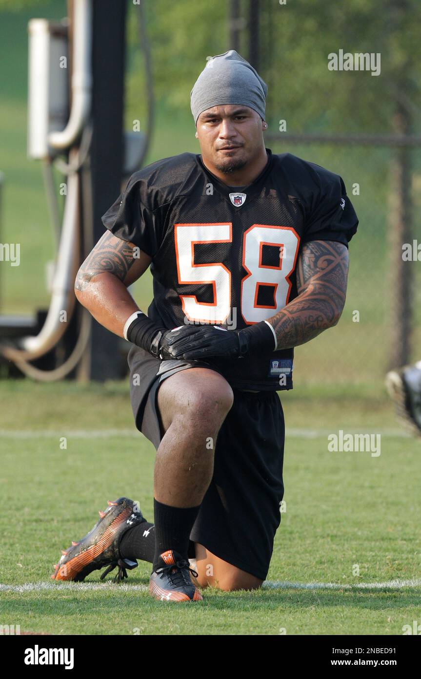 Cincinnati Bengals linebacker Rey Maualuga (58) in action at the NFL ...