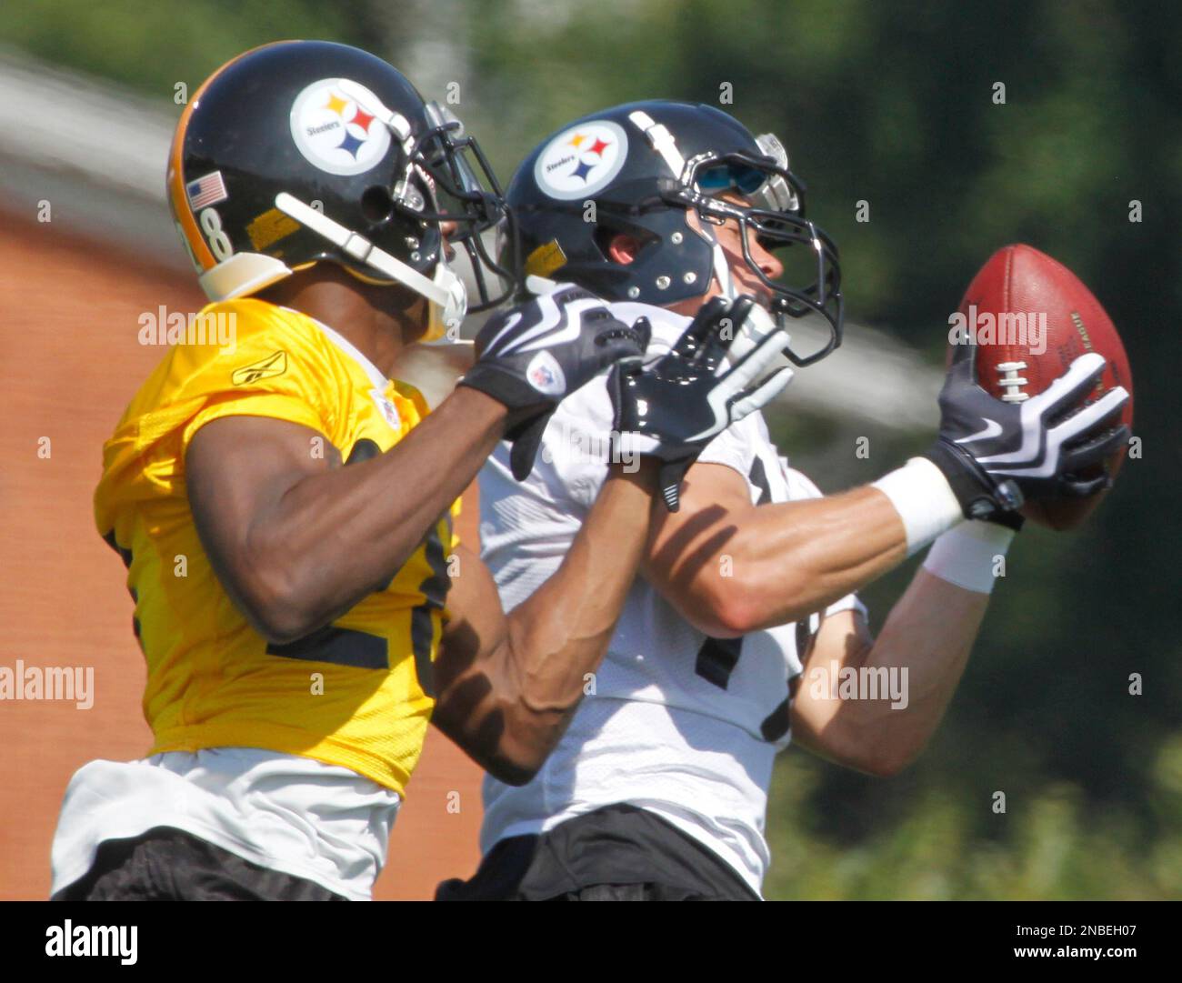 Pittsburgh Steelers wide receiver Tyler Grisham, right, makes a catch ...