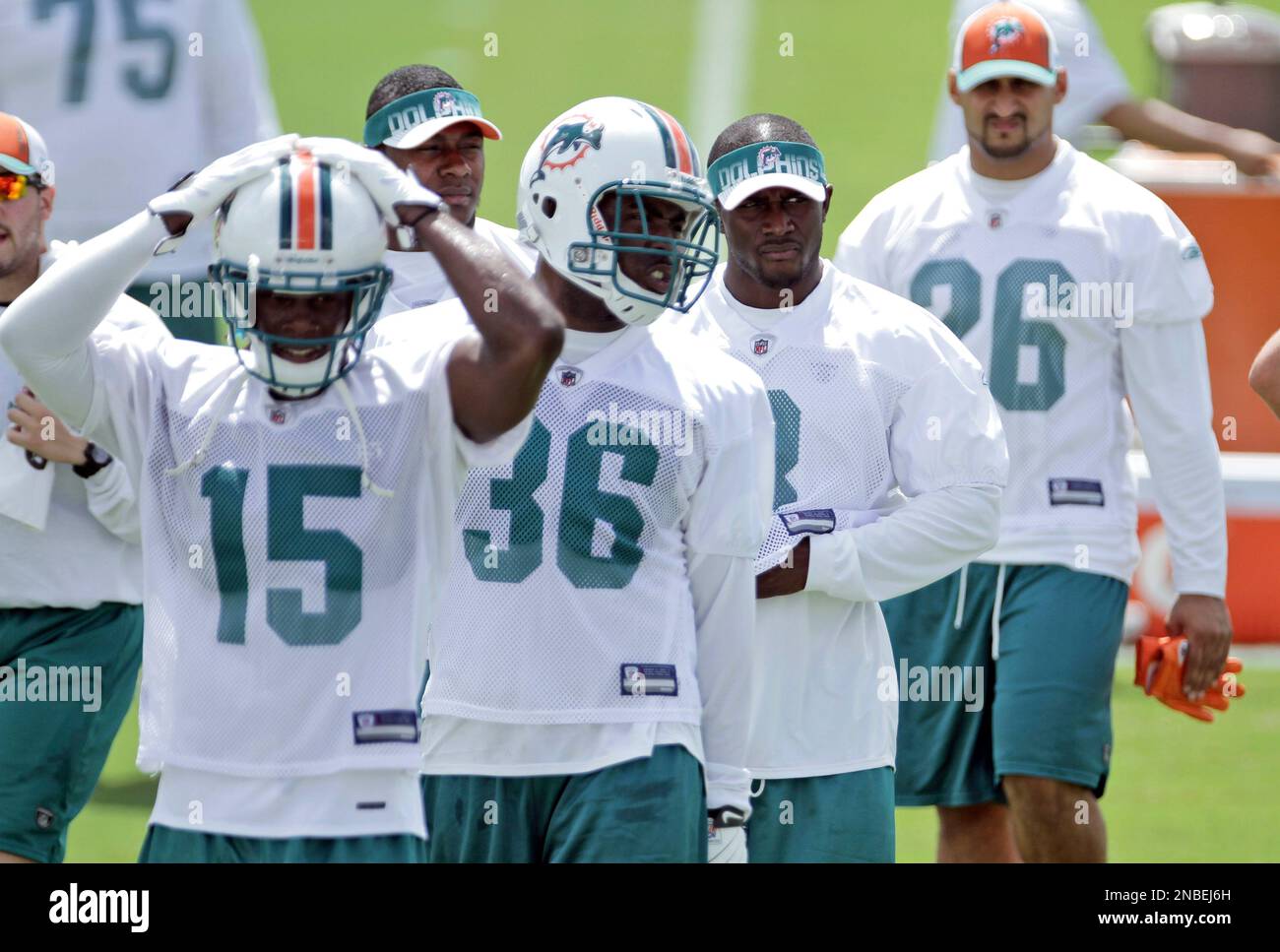 Miami Dolphins players Davone Bess (15),Lousaka Polite (36), Reggie ...
