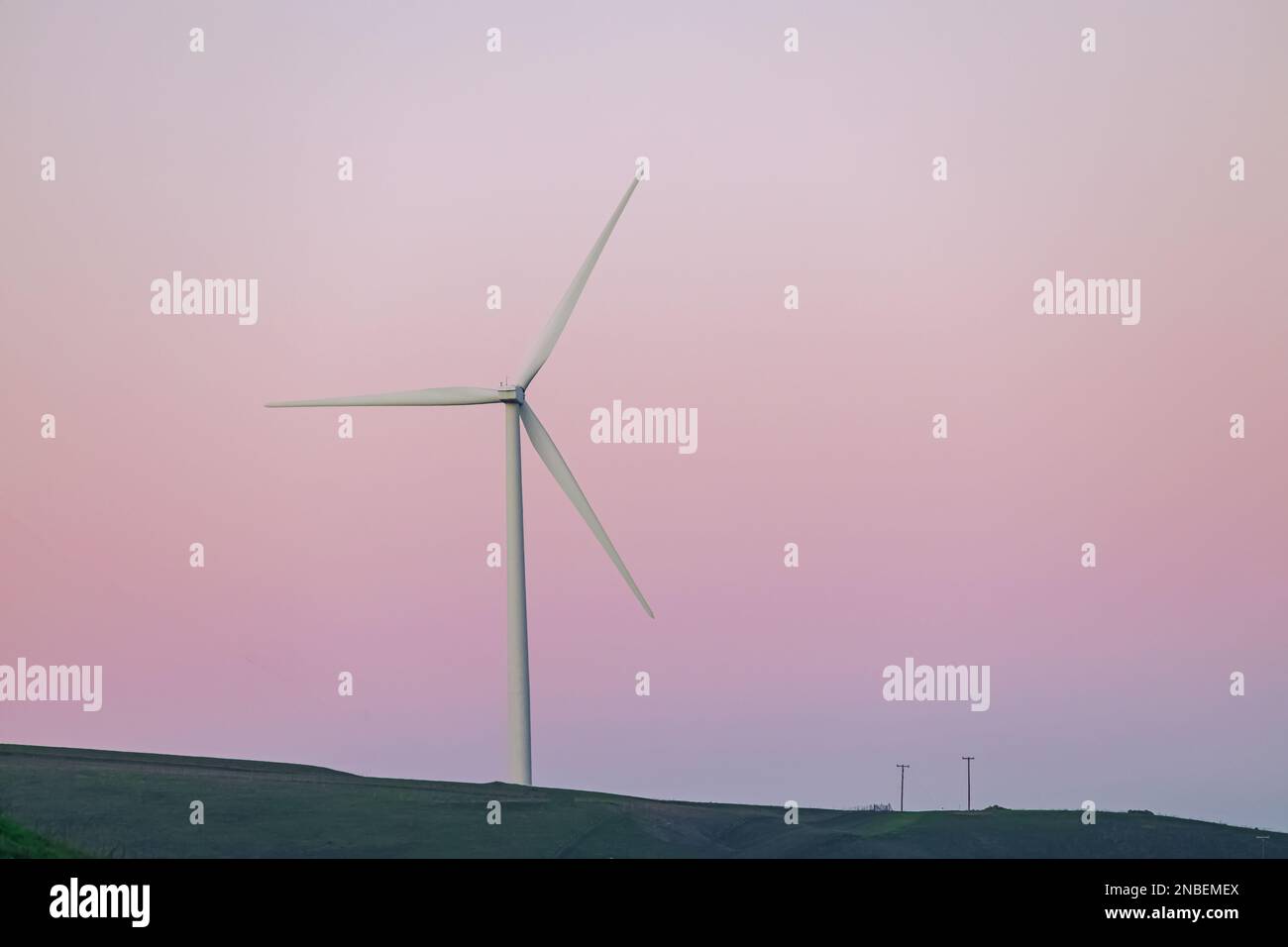 Wind power turbine over the pink colored sky early in the morning ...