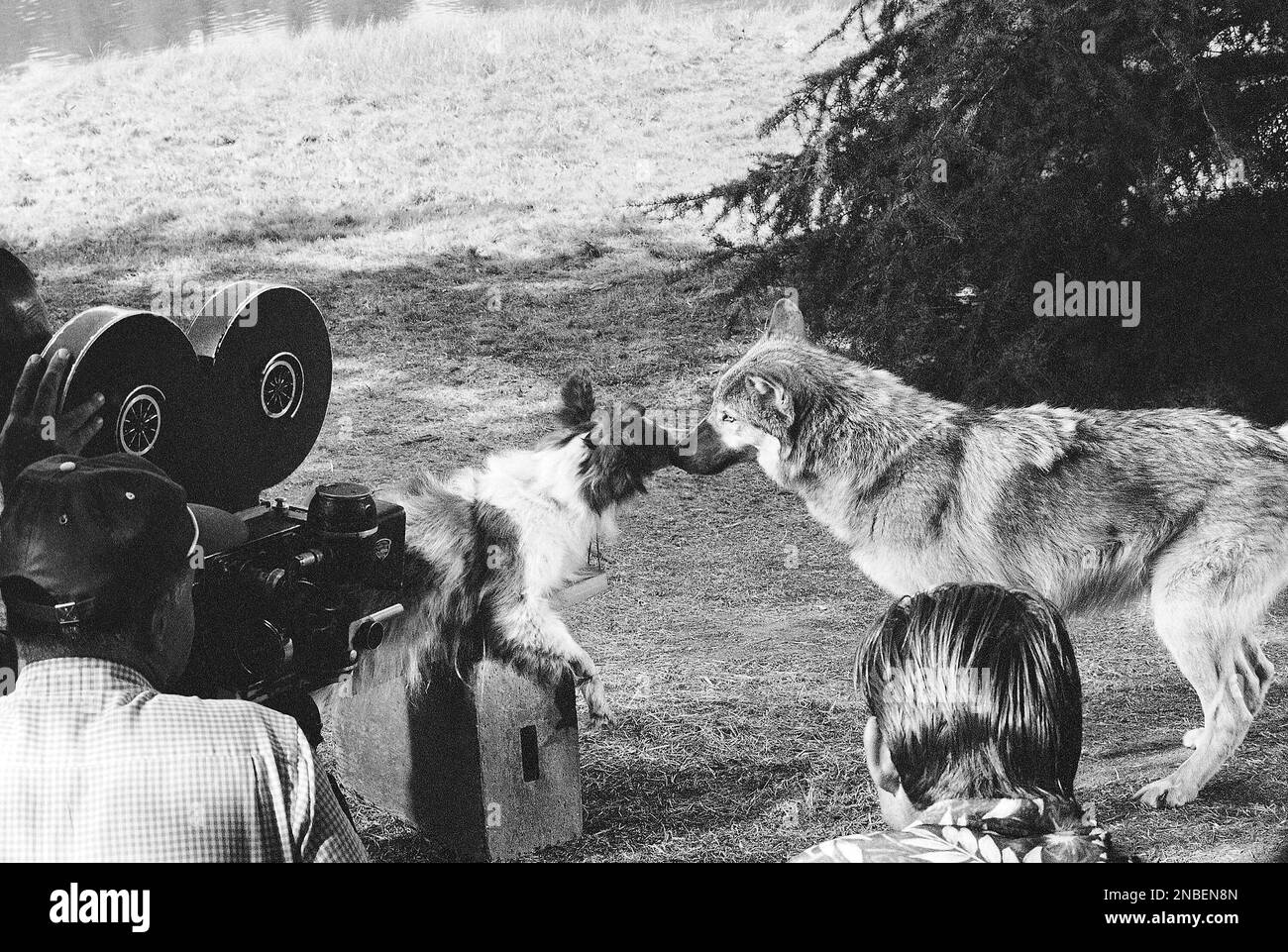 A situation more complicated than the plot developed around filming of ...