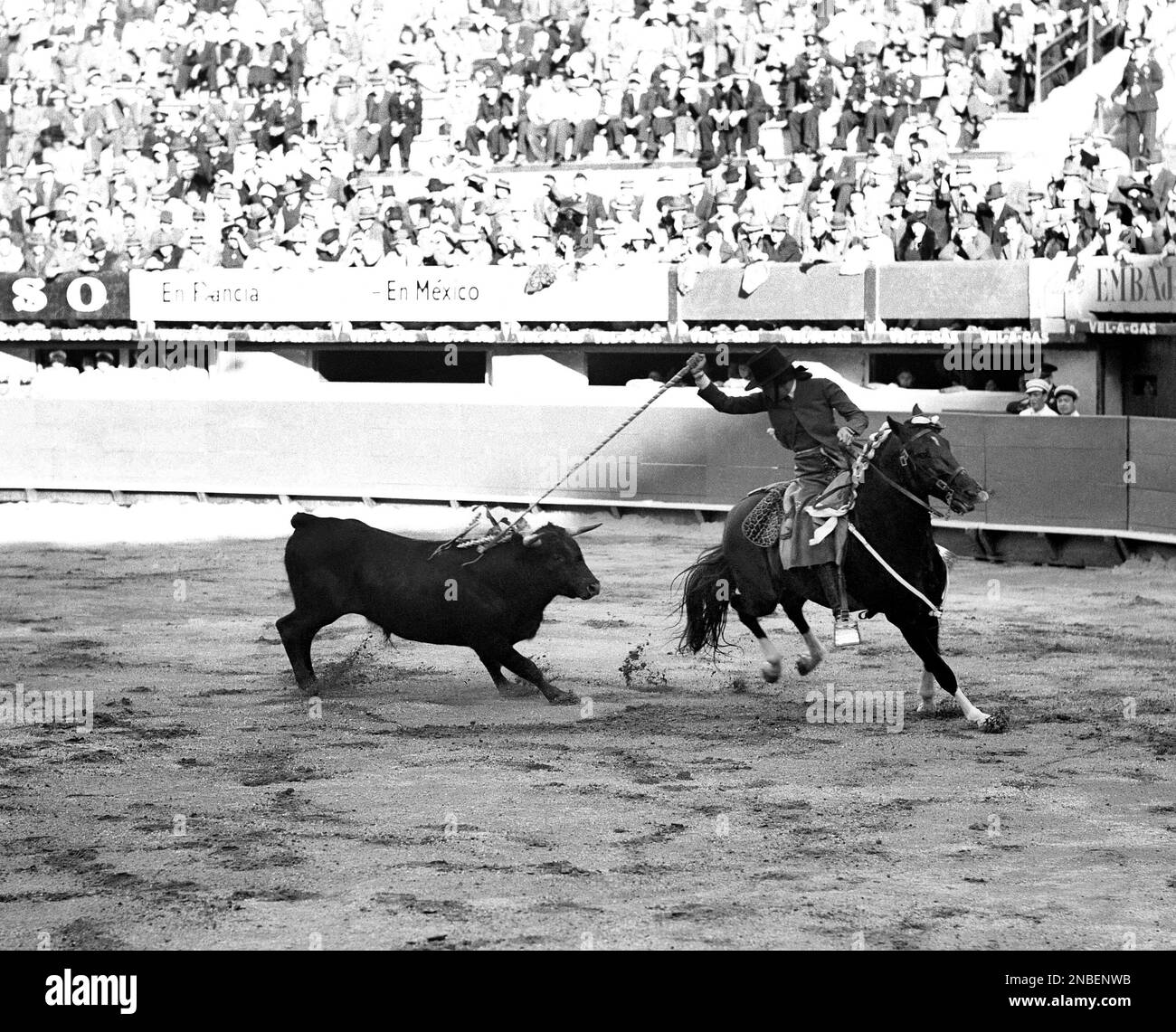 Female matador Conchita Cintron is seen preparing to kill in the ...