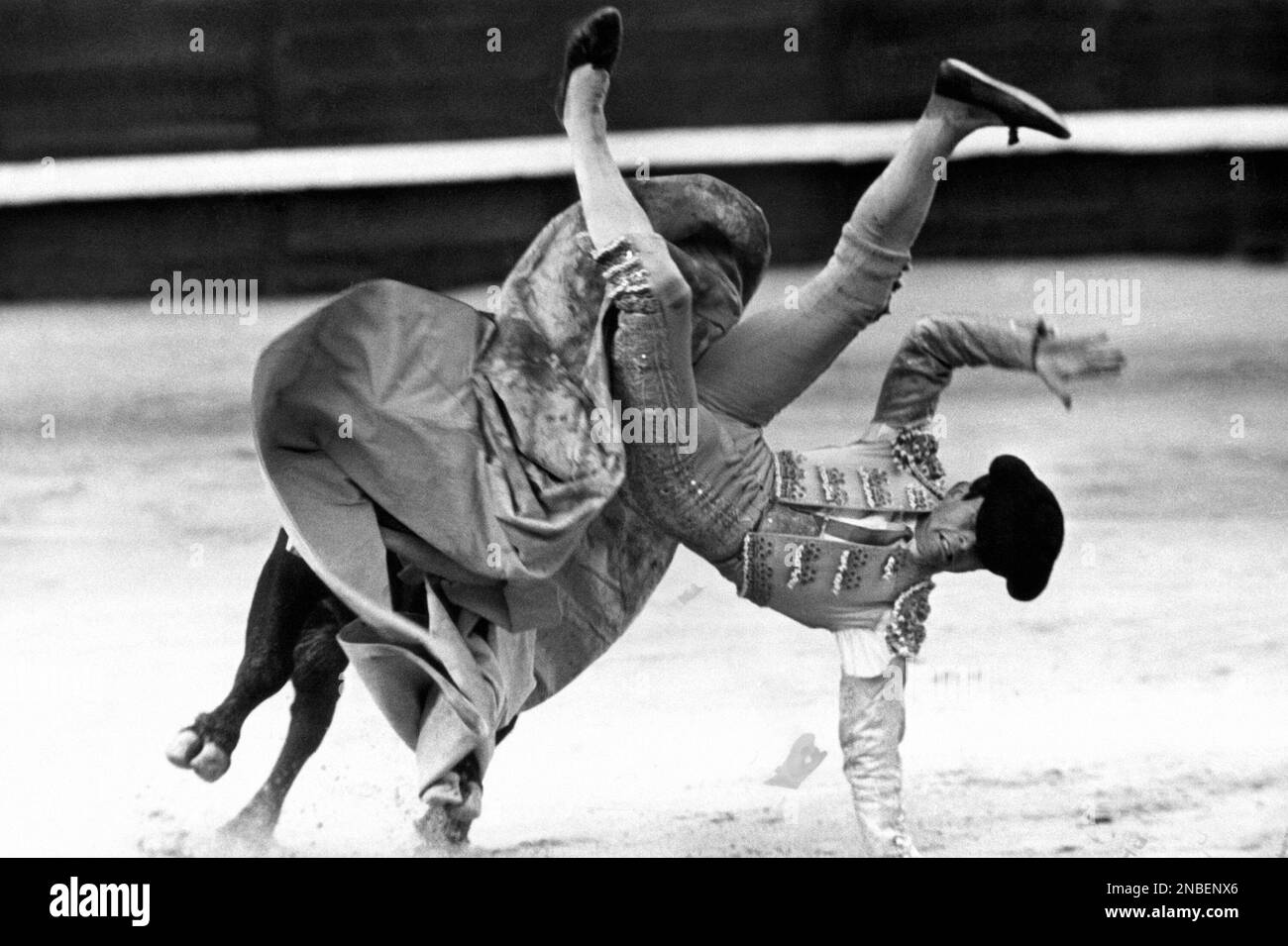Apparently apprentice bullfighter Marcelino Librero didn't move quickly ...