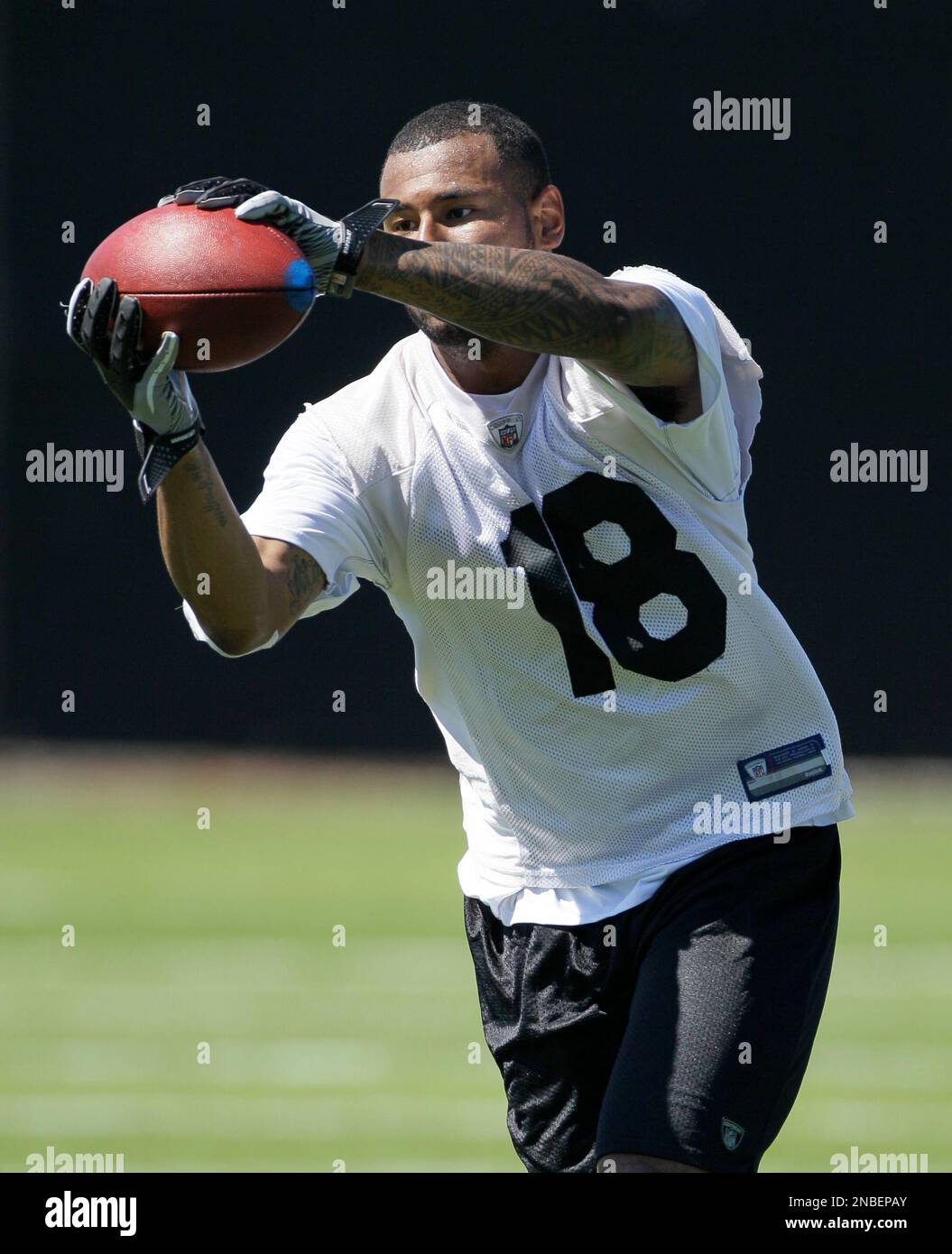 Oakland Raiders wide receiver Louis Murphy during their football ...