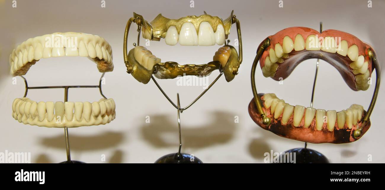 Largest Human Teeth In The World