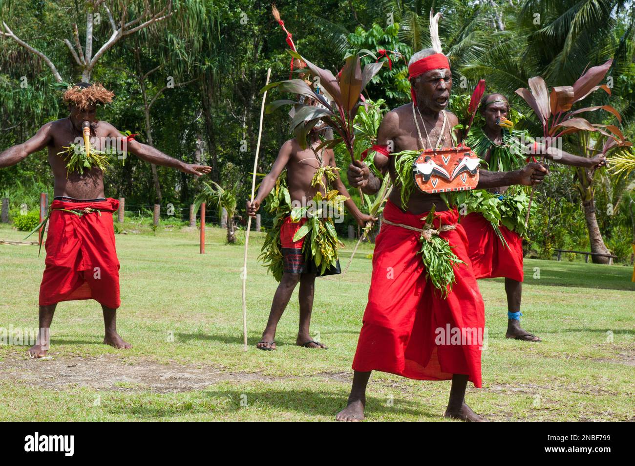Melanesian welcome dance performed in New Ireland, Papua New Guinea ...