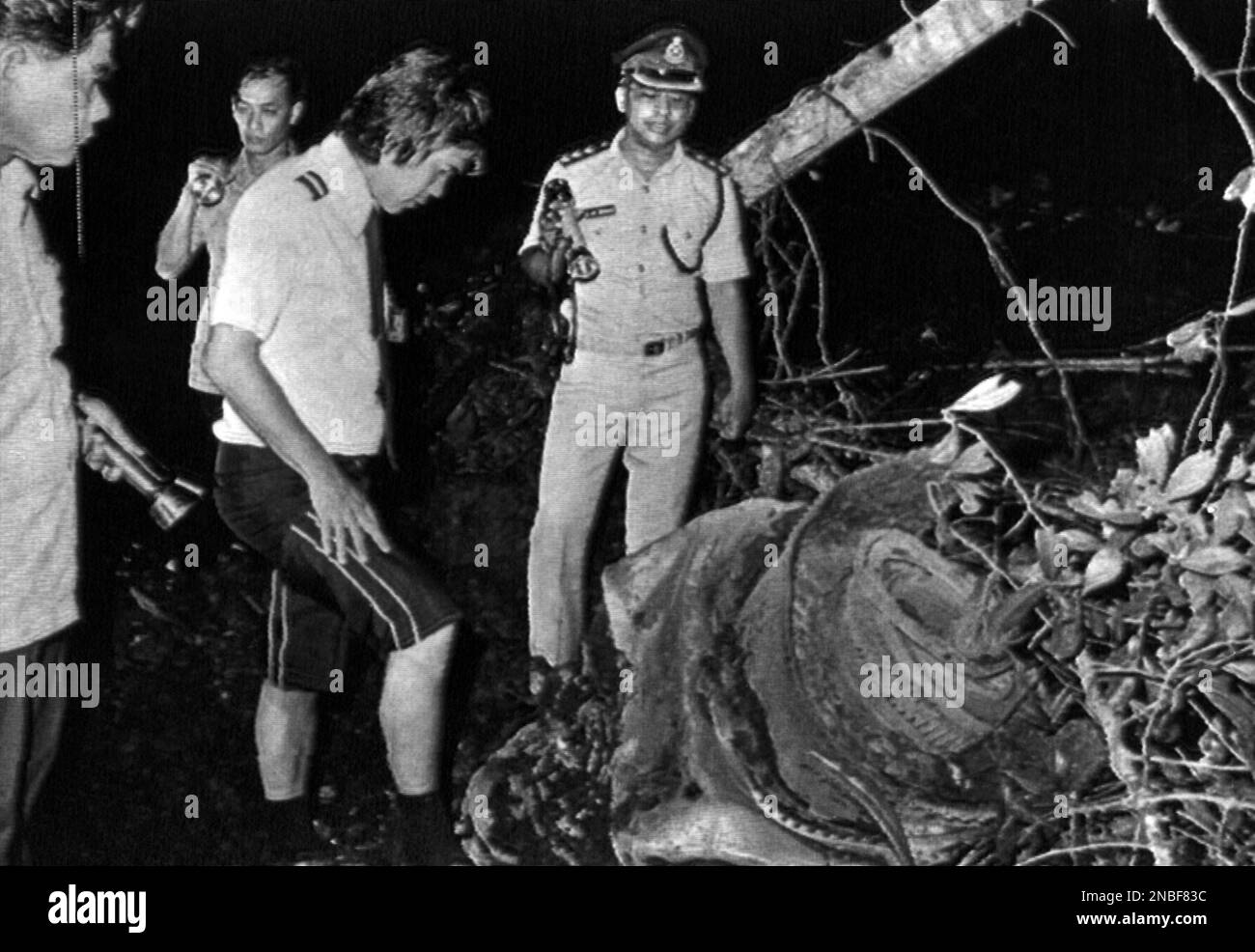 One of the engines from the Malaysia Airlines Flight 653 shown in ...
