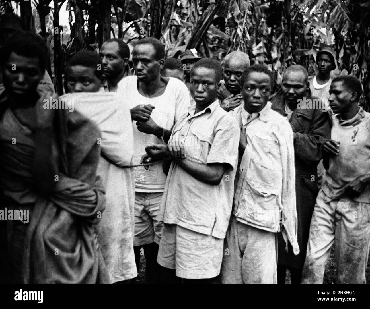 Mau Mau prisoners, guarded by members of the Fifth Battalion King’s ...