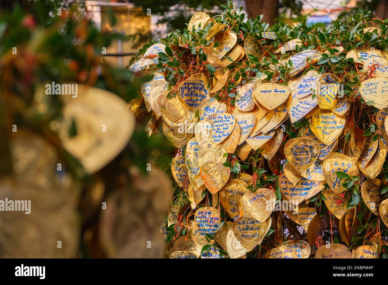 Thai buddhist golden leaves with wishes tied to Bodhi tree Stock Photo ...