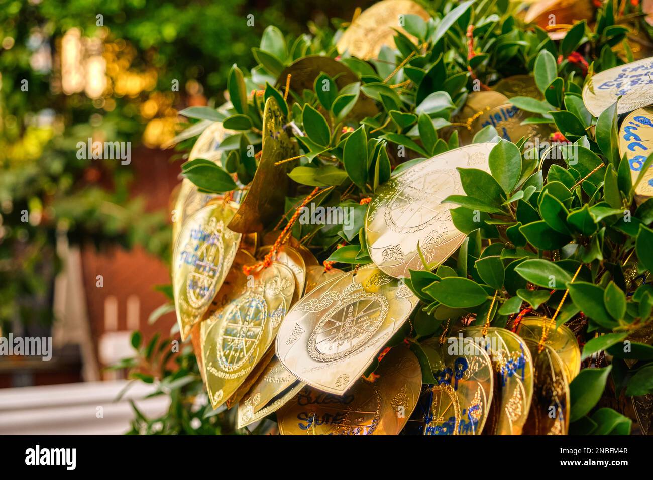Thai buddhist golden leaves with wishes tied to Bodhi tree Stock Photo ...