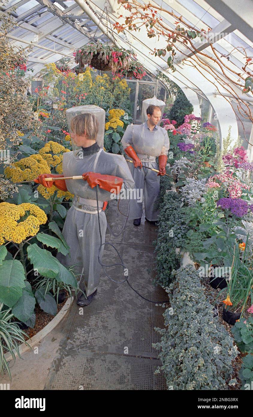 Safety spraying suits in use at the Royal Botanic Gardens, Kew, London ...