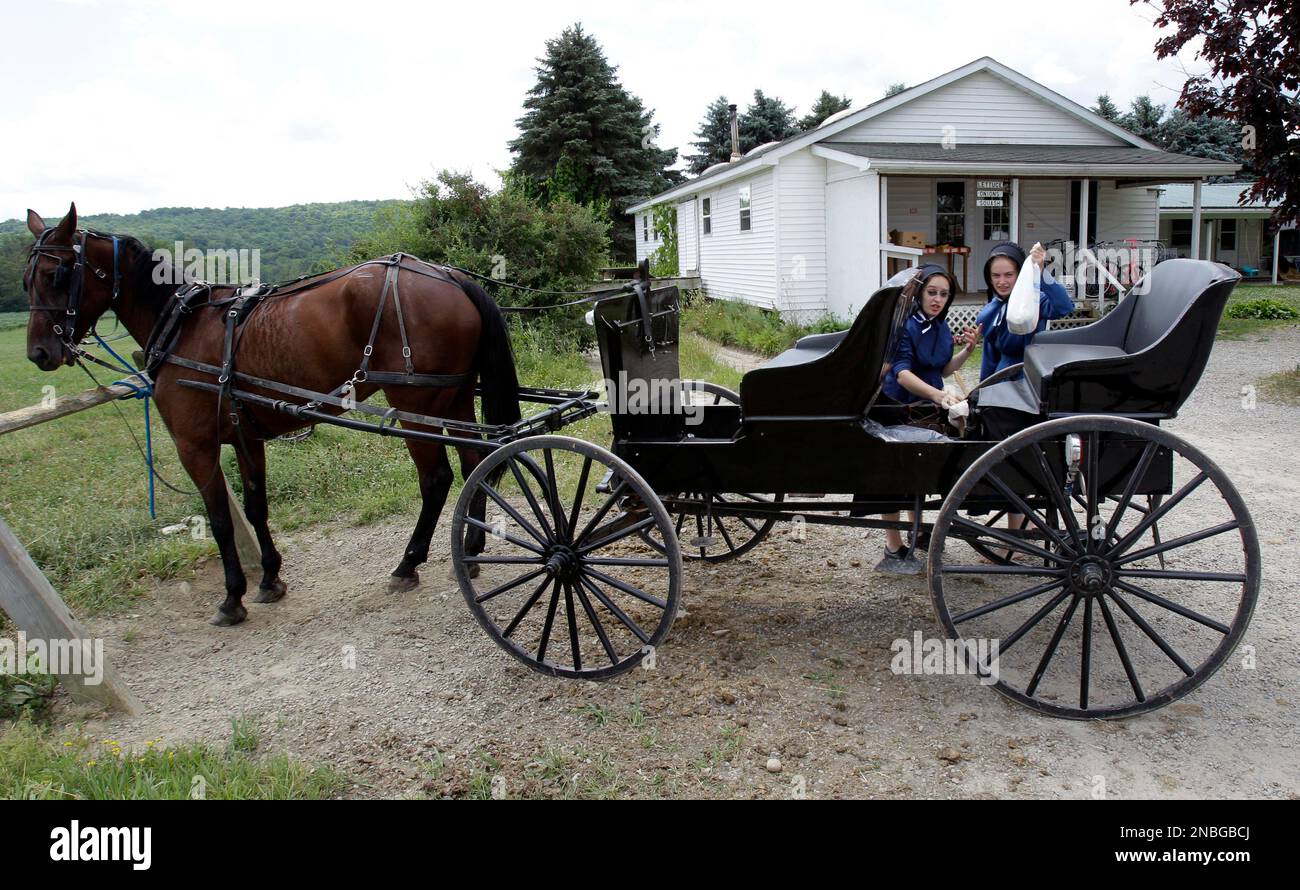 In this July 13, 2011 photo, Amish women shop at an Amish-owned country ...
