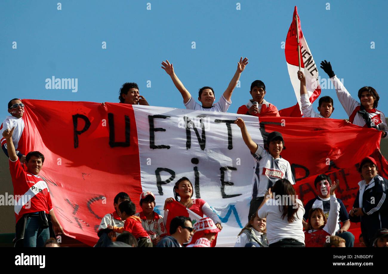 Peru's soccer fans cheer before a Copa America quarterfinal soccer ...