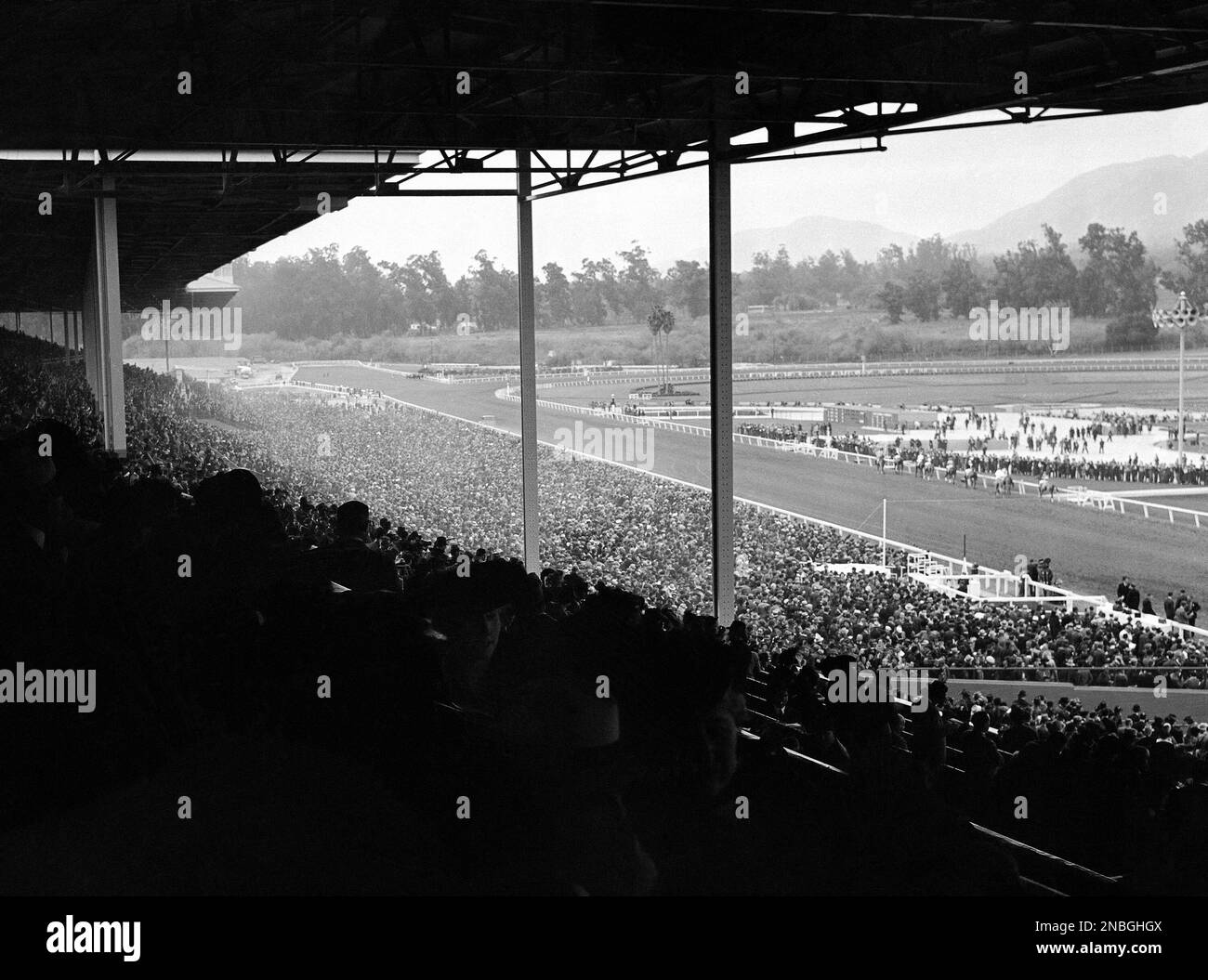 A general view of the crowds at the Santa Anita Race track in Arcadia ...