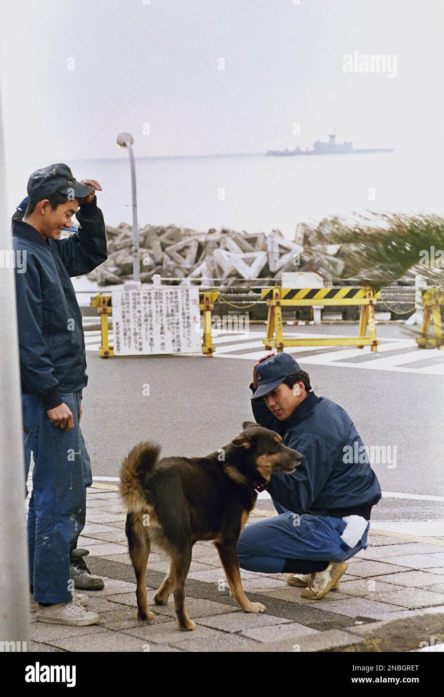 Japanese civil defense force soldiers play with a stray dog at ...